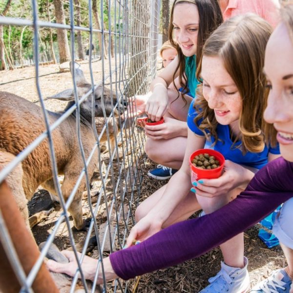 Promised Land Zoo (Branson) - Call: 1 (800) 504-0115 - Branson Travel ...