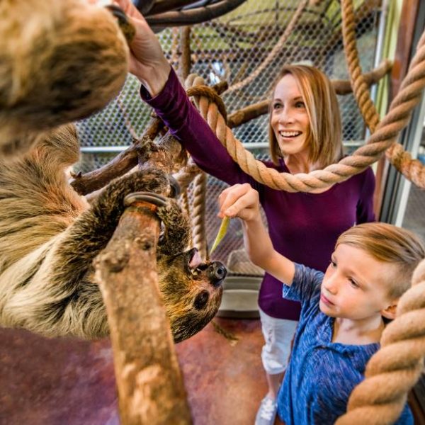Promised Land Zoo (Branson) - Call: 1 (800) 504-0115 - Branson Travel Office