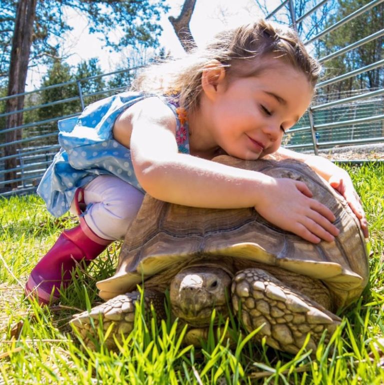 Promised Land Zoo (Branson) - Call: 1 (800) 504-0115 - Branson Travel ...