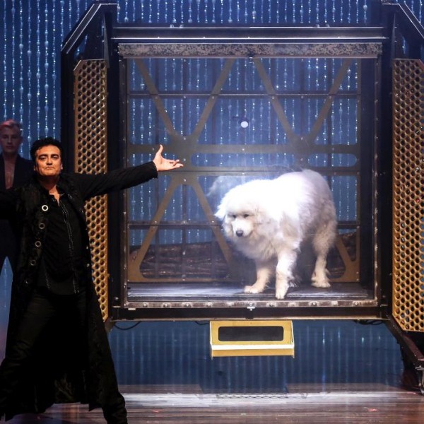 Rick Thomas Magic Show - 2026 Schedule & Tickets - Branson Travel Office