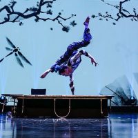 Amazing Acrobats of Shanghai - 2025 Show Times & Tickets - Branson ...