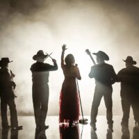 Dalena Ditto's Country Evolution - 2026 Show Times & Tickets - Branson ...